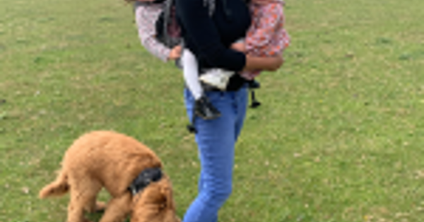 Firefly Friends | Rochelle Carter