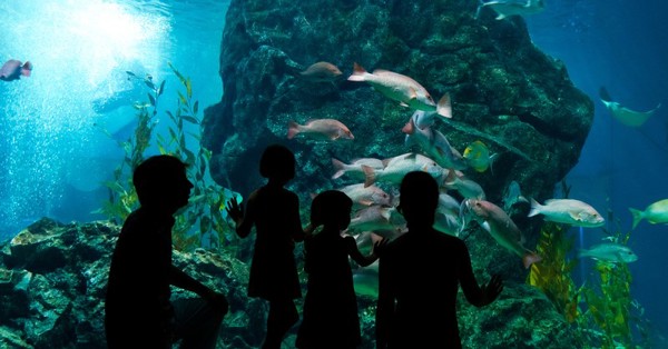 Looking back over the past year | Firefly United States