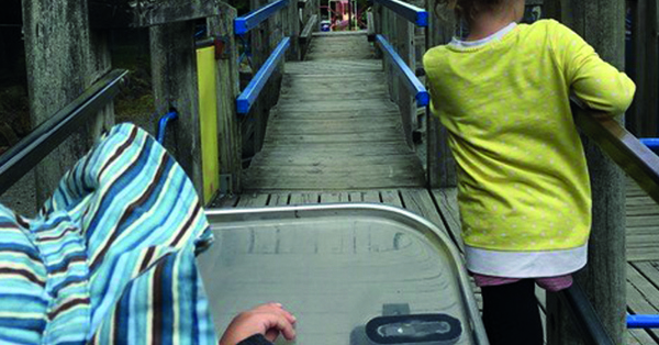 Firefly United States | Special Needs Parenting: Two Kids, Two Schools