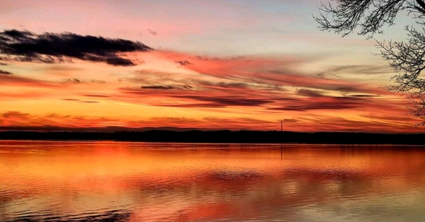 Firefly United States | Using EMPATHY When Relating to Those with ...