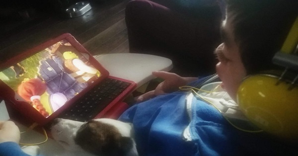 Firefly United States | What Our Dog Could Teach Some Professionals