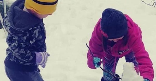 Firefly United States | The Great Genetics Mystery