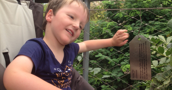 Firefly United States | Special Needs - Inside Out