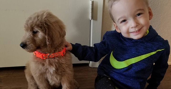 Firefly United States | A New Furry Pal